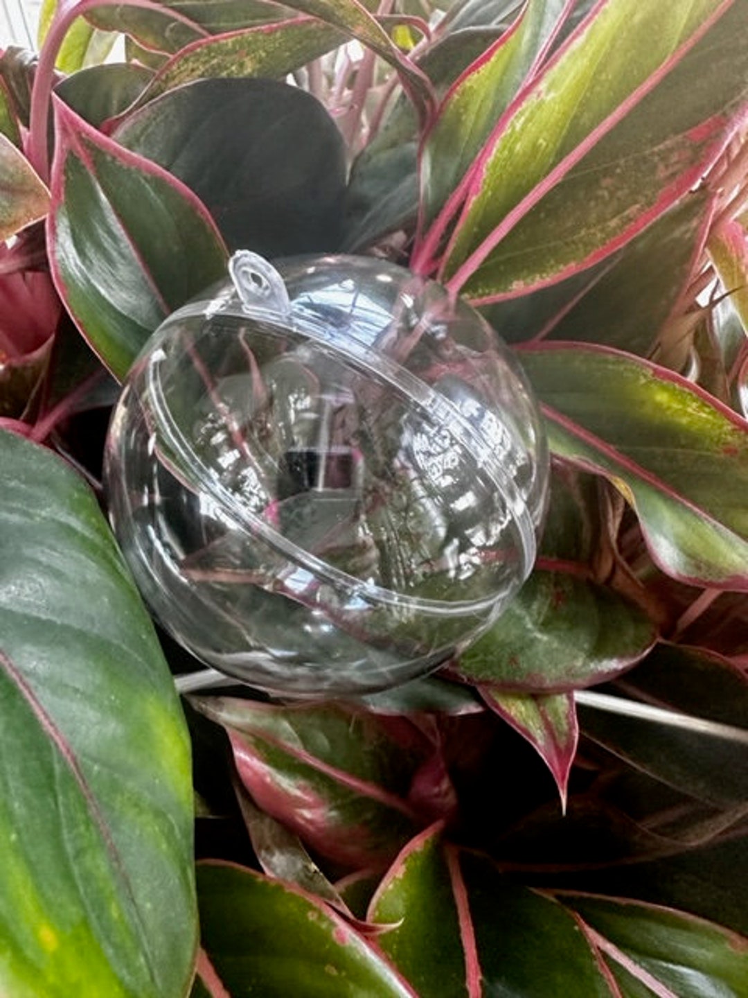 10 Pack Clear Fillable Hanging Balls - DIY Party Decoration, Party ...