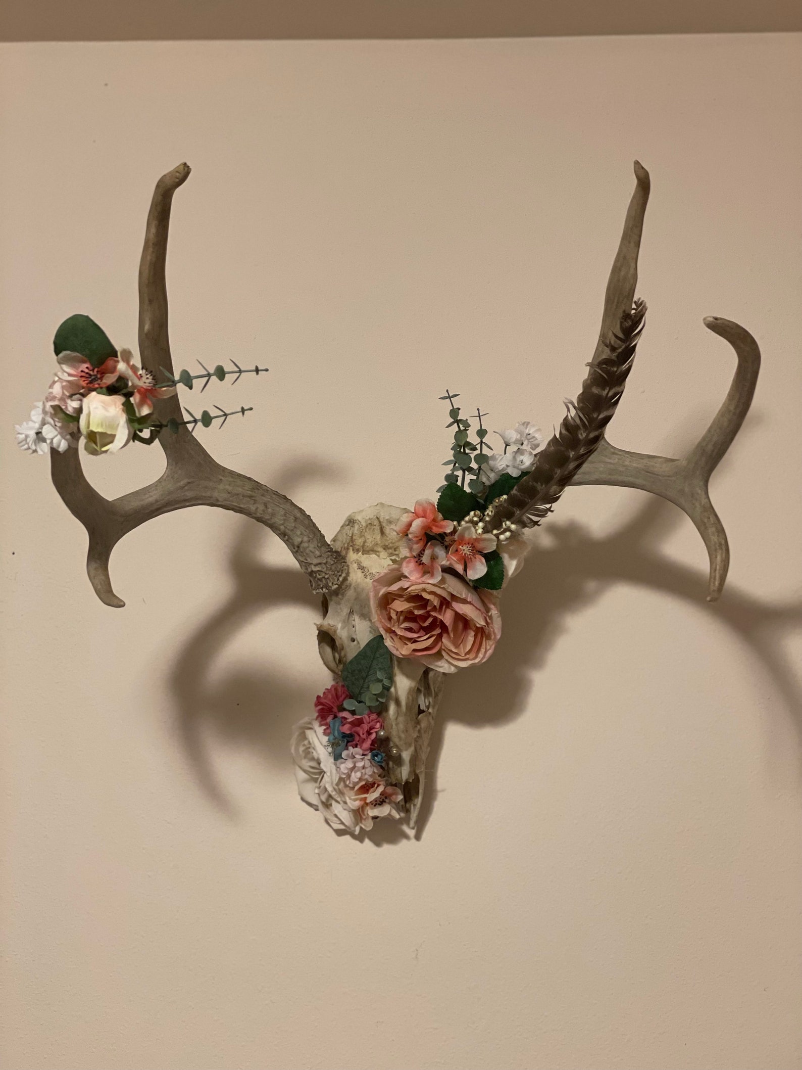 Cow Skull With Flower Detail - Etsy