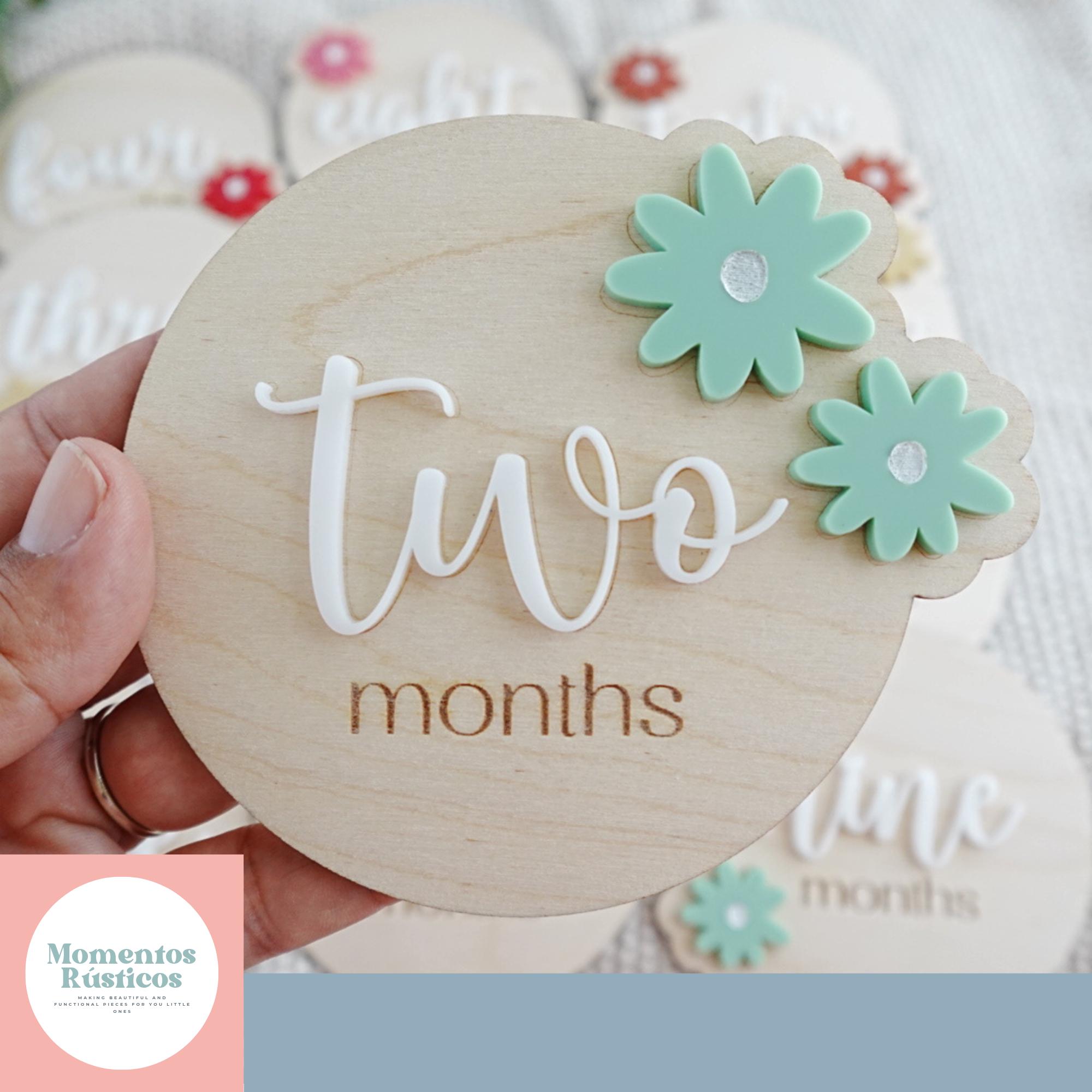 Flower Monthly Milestones, Monthly Milestone Cards, Milestones Sign ...