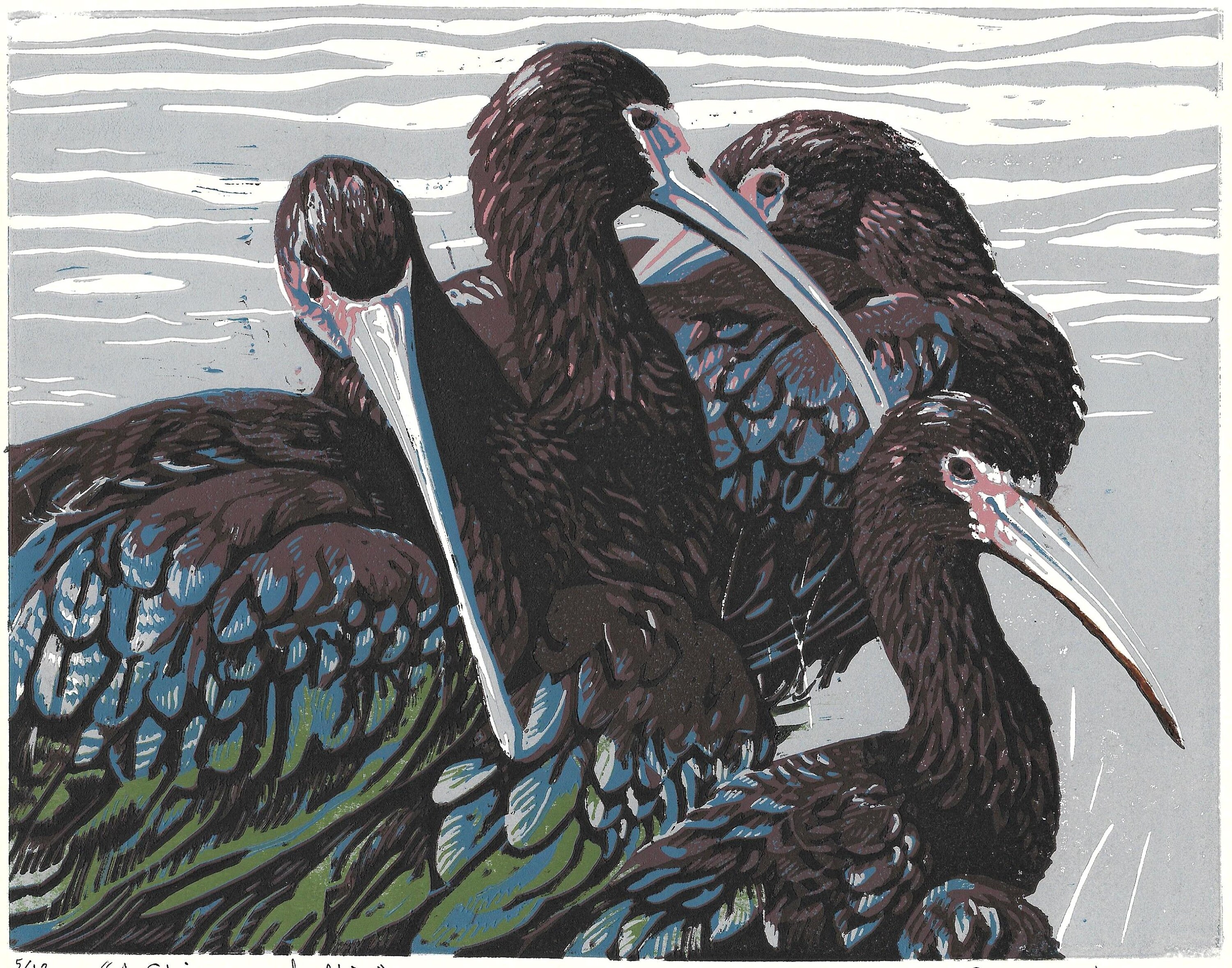 A Shimmer of Ibis, Linocut Reduction Block Print - Etsy