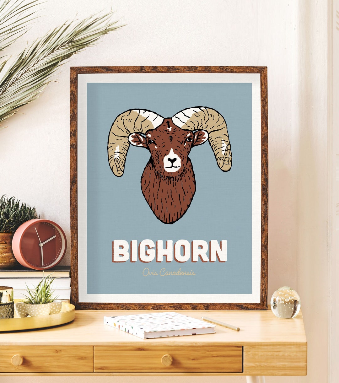 Bighorn Sheep Illustration Art Print, Blue Brown and White, Canadian ...