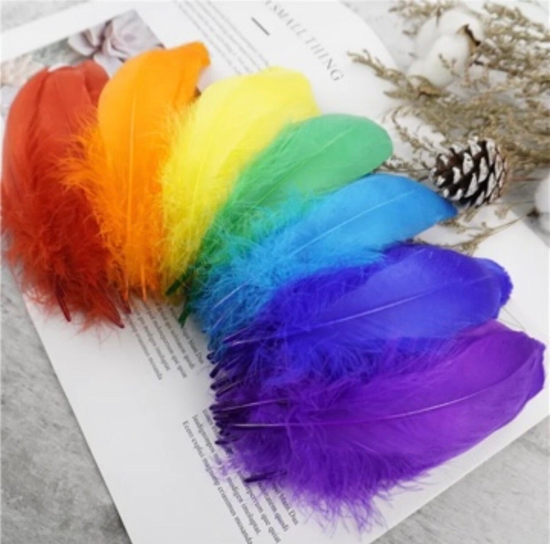100pcs 13-18cm Multi-color Feather for Arts and Crafts, Feathers for ...