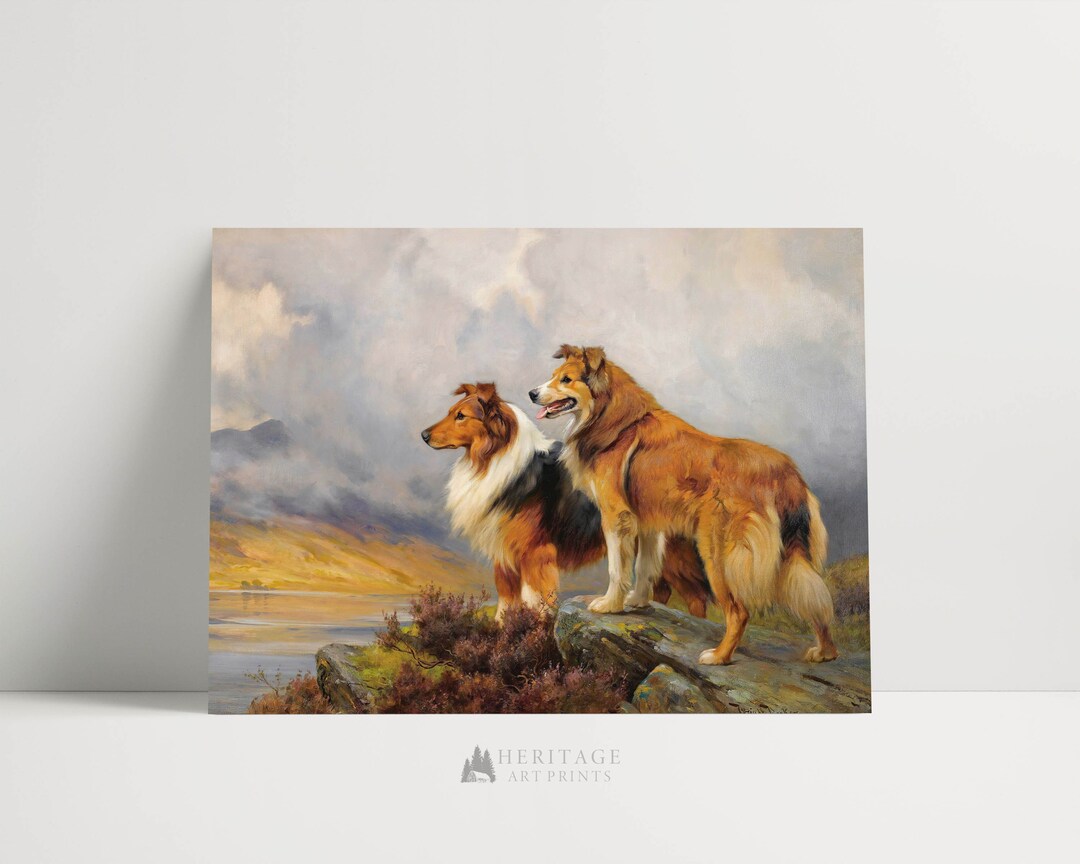 Dog Art Print, Vintage Collie Print, Collie Dog Painting / P32 - Etsy