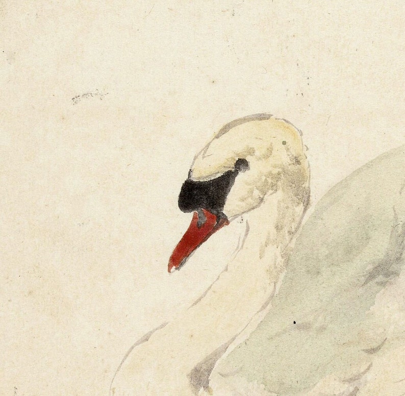 White Swan Vintage Painting PRINTABLE DIGITAL DOWNLOAD - Etsy