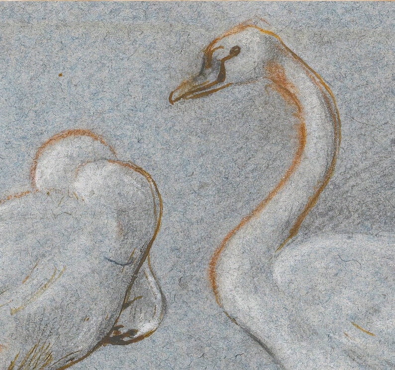 Vintage Swan Print PRINTABLE DIGITAL DOWNLOAD French - Etsy