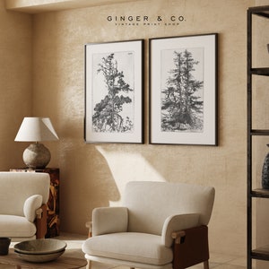Ernest Haskell Set of Two Tree Sketch Prints Vintage Fine Art Drawing ...