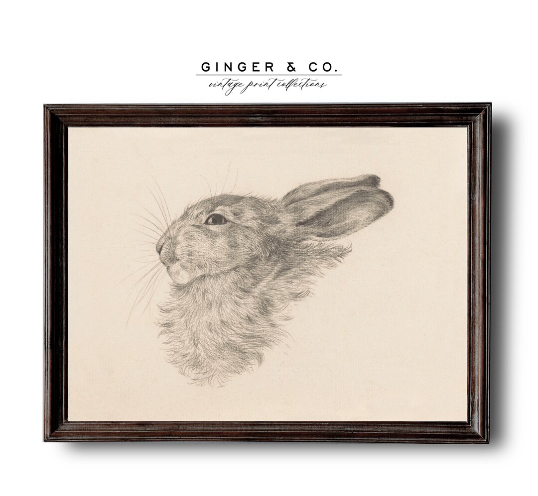 Vintage Rabbit Drawing PRINTABLE DIGITAL DOWNLOAD French Country Wall ...
