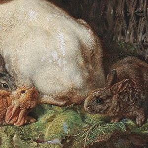 Vintage Rabbit Print - Fine Art Oil Painting, Family of Rabbits, Bunny ...