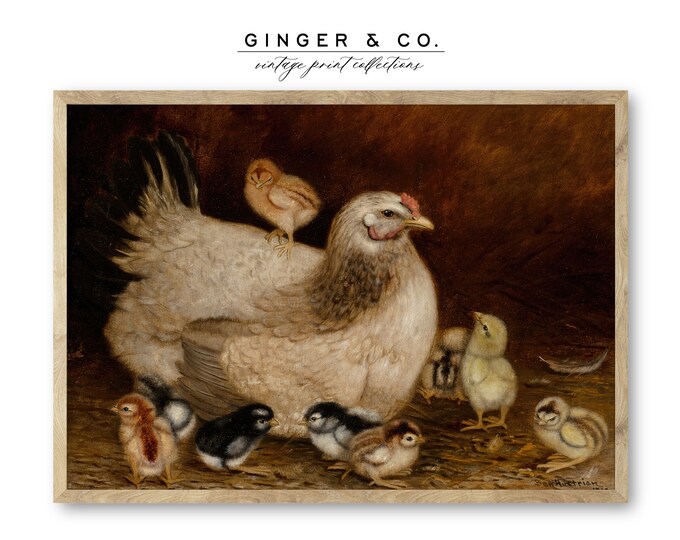 Mother Hen and Chicks PRINTABLE DIGITAL DOWNLOAD Vintage - Etsy