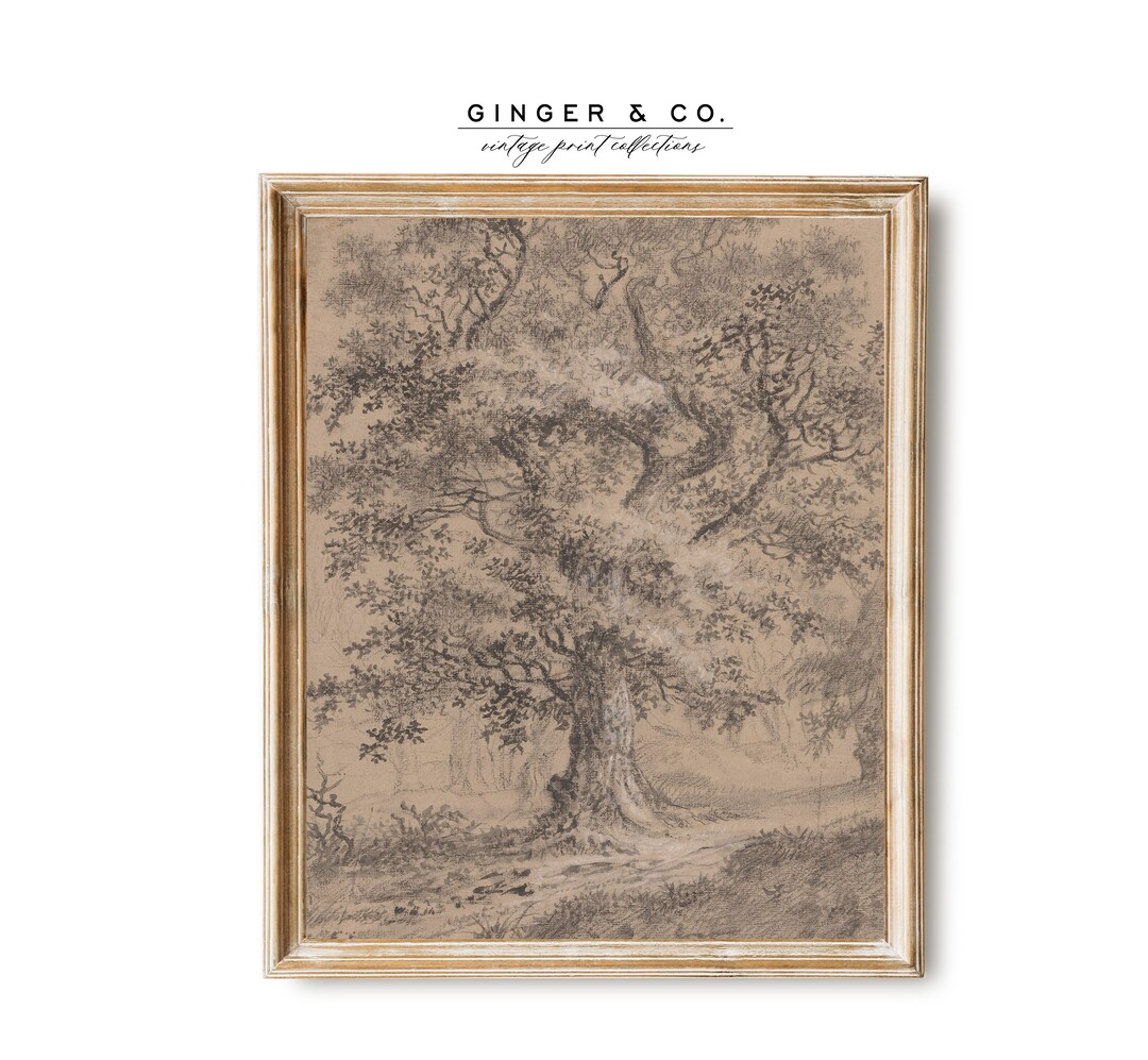Vintage Tree Sketch A Twisted Oak PRINTABLE DIGITAL DOWNLOAD French ...