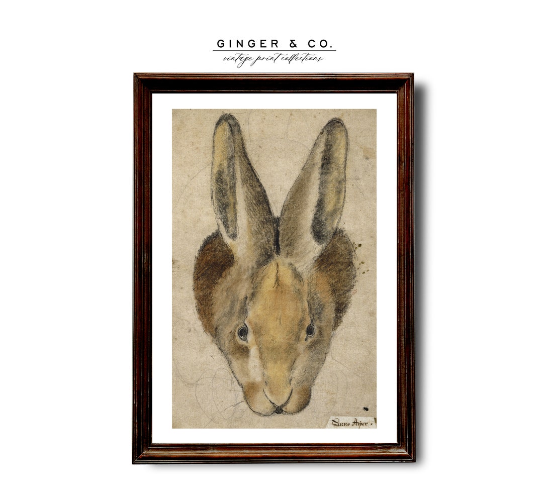 Vintage Drawing of a Rabbit - PRINTABLE DIGITAL DOWNLOAD - French ...