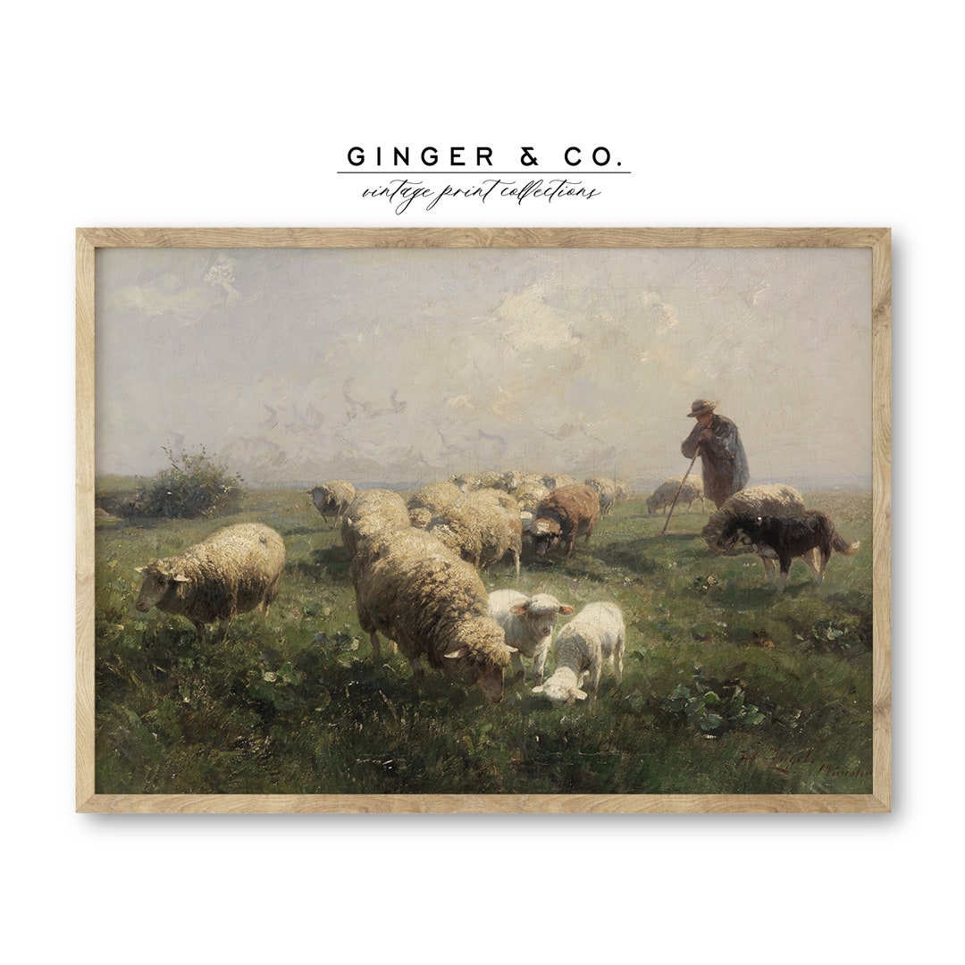 Vintage Sheep Print Fine Art Oil Painting Equestrian Wall - Etsy