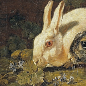 Vintage Rabbit Print - Fine Art Oil Painting, White and Gray Rabbit ...