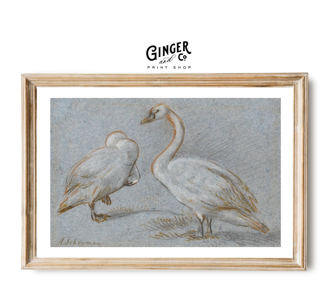 Vintage Swan Print PRINTABLE DIGITAL DOWNLOAD French Country Wall Art ...