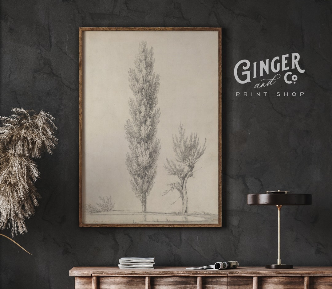 TREE SKETCH Overgrown Tree Digital Download Vintage Fine Art Drawing ...