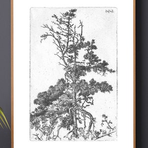 Ernest Haskell Set of Two Tree Sketch Prints - Vintage Fine Art Drawing ...