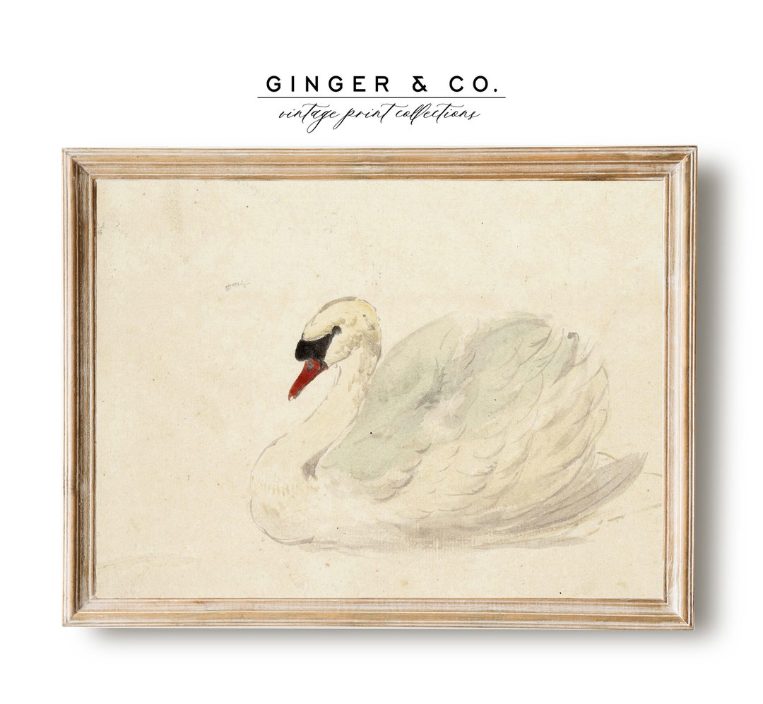 White Swan Vintage Painting PRINTABLE DIGITAL DOWNLOAD French Country ...
