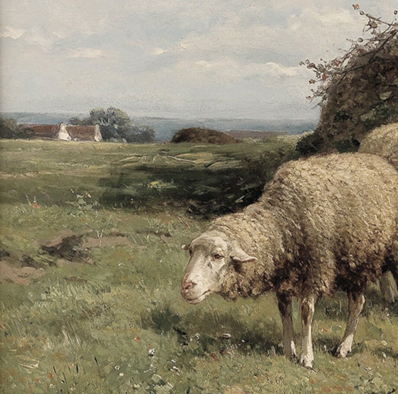 Vintage Sheep Painting PRINTABLE FINE ART French Country - Etsy