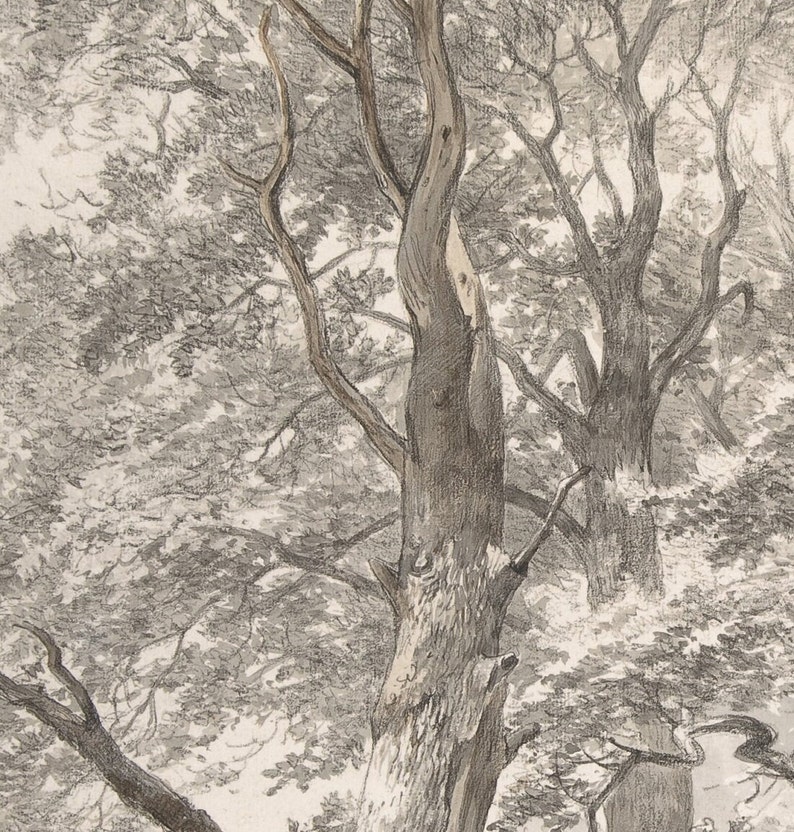 TREE SKETCH Two Men in a Forest Digital Download Vintage - Etsy