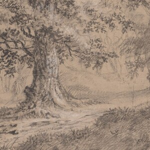 Vintage Tree Sketch A Twisted Oak PRINTABLE DIGITAL DOWNLOAD French ...