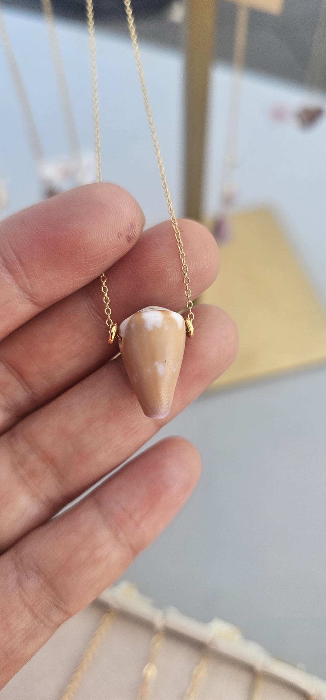 Hawaiian Seashell Necklace. Cone Shell. Seashell Hawaii. Seashell ...