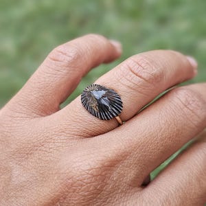 Opihi Seashell Ring. Statement Ring. Opihi Shell. Sea Shell Ring ...