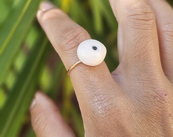 Opihi Seashell Ring. Statement Ring. Opihi Shell. Sea Shell Ring ...