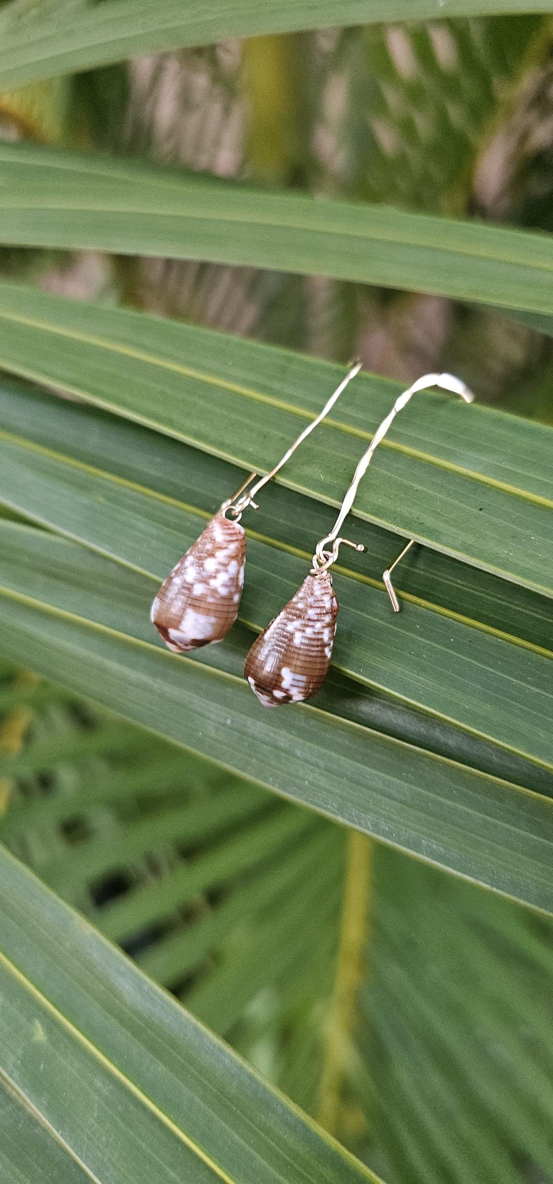Hawaiian Seashell Earrings. Cone Shell Earrings. Hawaiian Shell ...