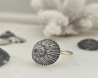 Opihi Seashell Ring. Statement Ring. Opihi Shell. Sea Shell Ring ...