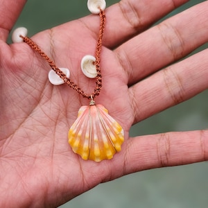 Sunrise Shell Necklace. Seashell Necklace. Sea Shell Necklace. Bright ...