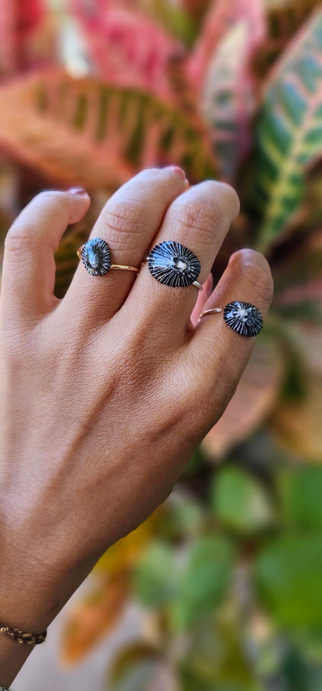 Opihi Seashell Ring. Statement Ring. Opihi Shell. Sea Shell Ring ...