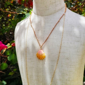 Sunrise Shell Necklace. Seashell Necklace. Sea Shell Necklace. Bright ...