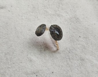 Opihi Seashell Ring. Statement Ring. Opihi Shell. Sea Shell Ring ...