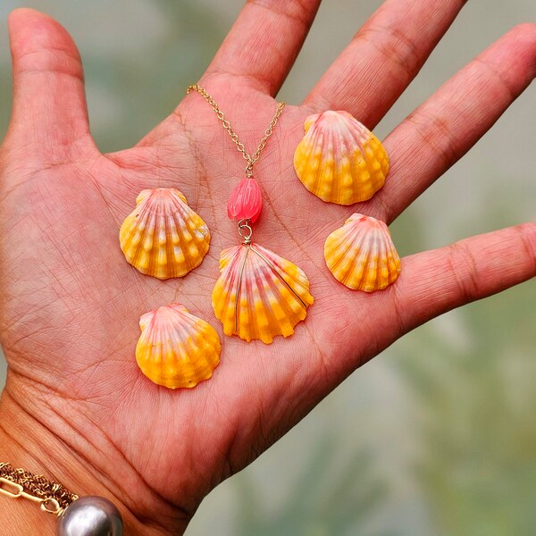 Sunrise Shell Necklace - Etsy