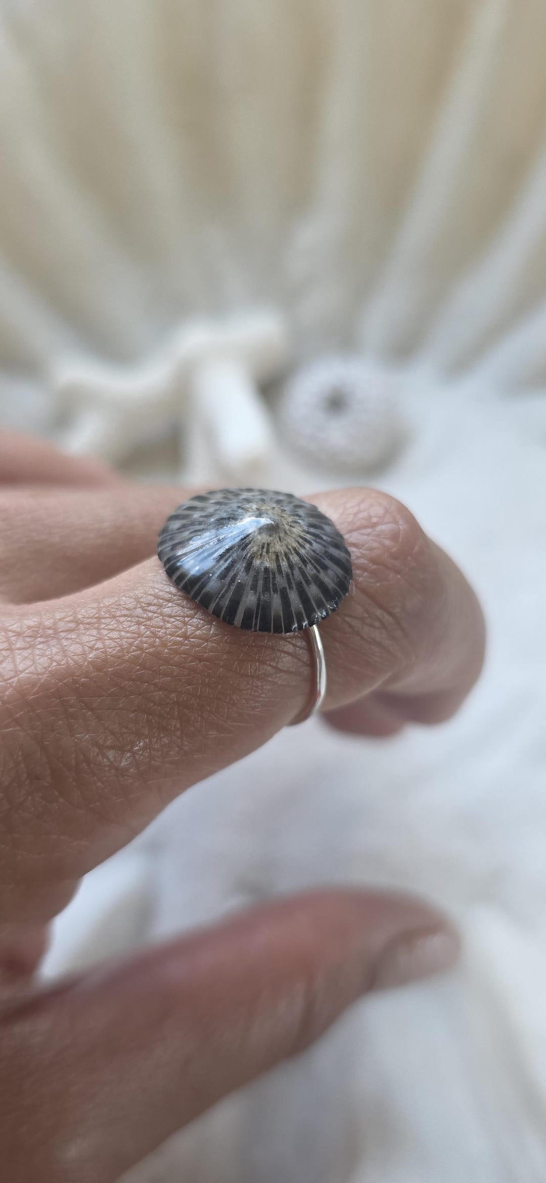 Opihi Seashell Ring: Handmade Limpet Shell Statement Ring, Maui - Etsy