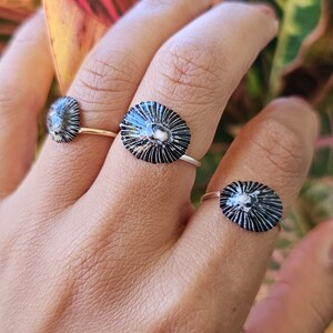 Opihi Seashell Ring. Statement Ring. Opihi Shell. Sea Shell Ring ...