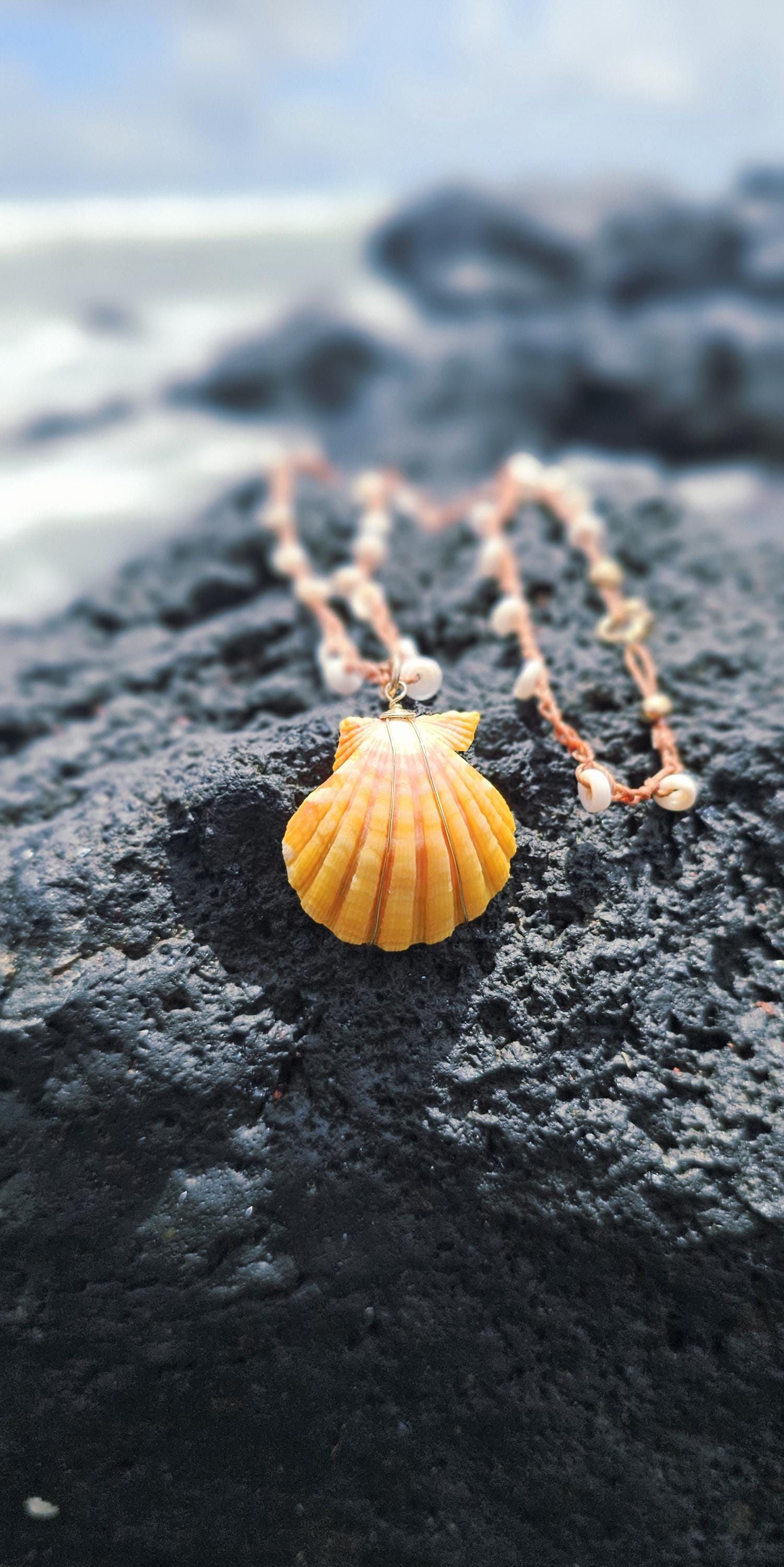 Sunrise Shell Crochet Necklace: Puka Shell, 14K Gold Filled - Etsy