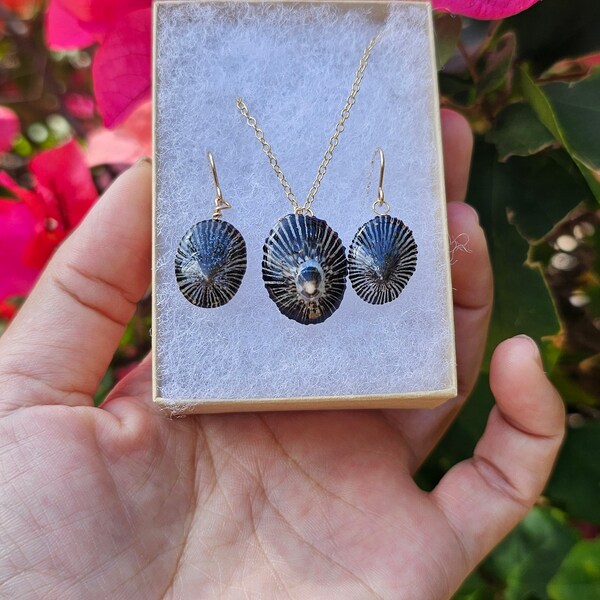 Shell Jewelry - Etsy