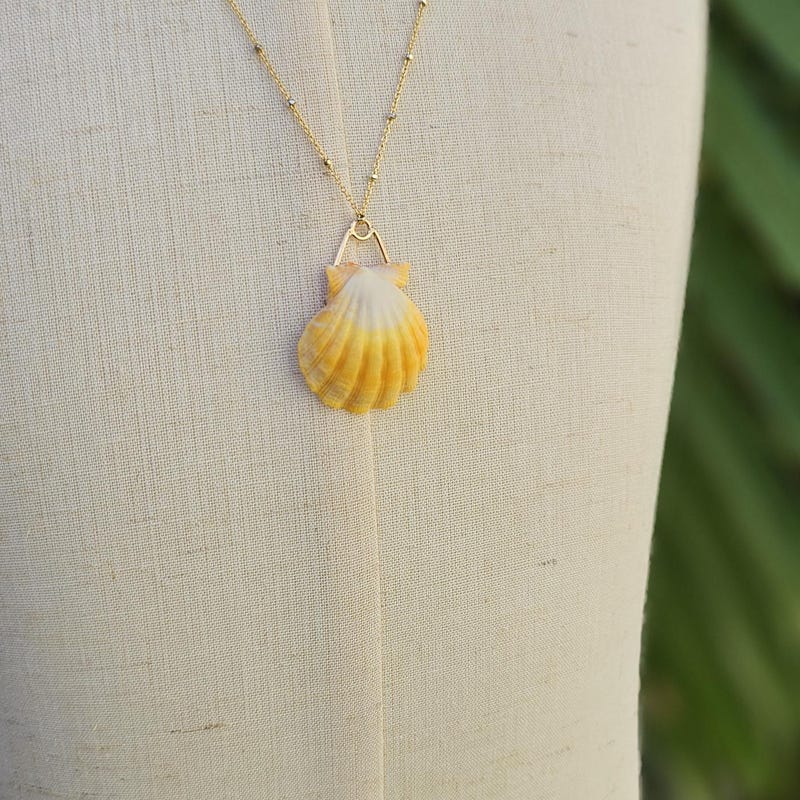 Sunrise Shell Necklace - Etsy