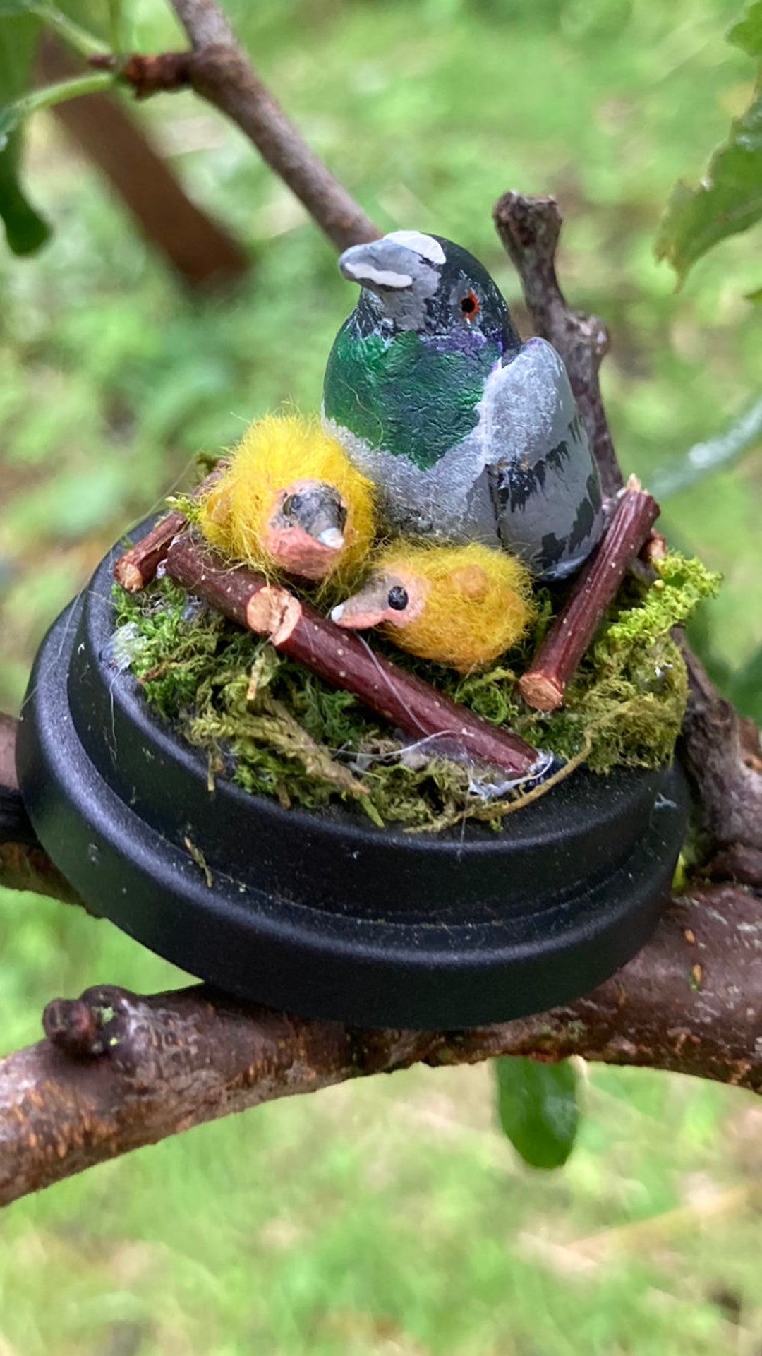 Micro Sculpture Mum Pigeon & Squabs / Wildlife / Diorama / Relinquiary ...