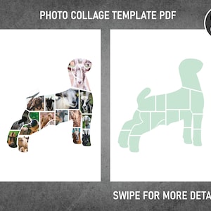 Show Goat Photo Collage Canva Template PDF | Memorial Collage 8x12 ...