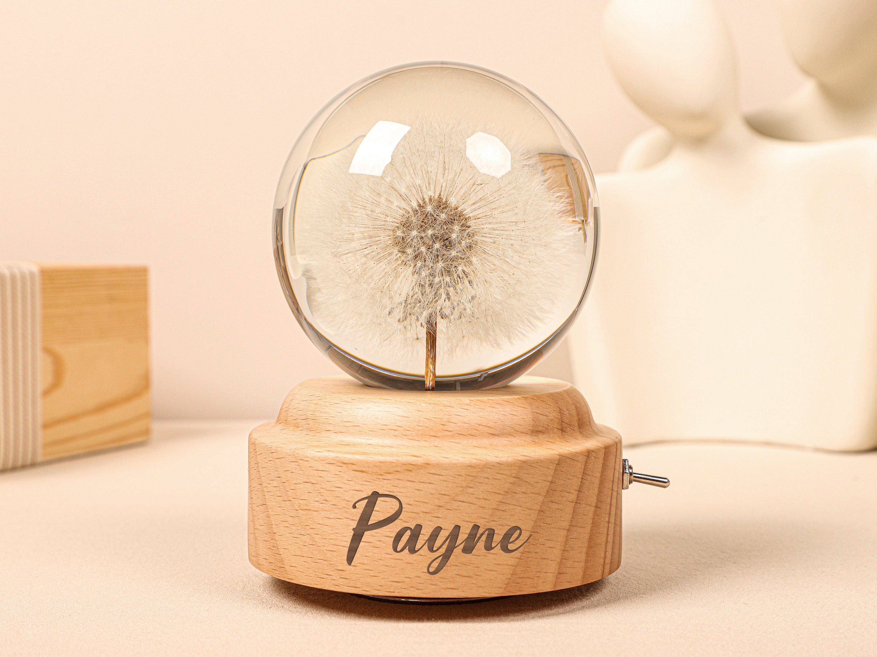 Dandelion Crystal Ball Night Light, Wooden Rotating Music Box, Epoxy ...
