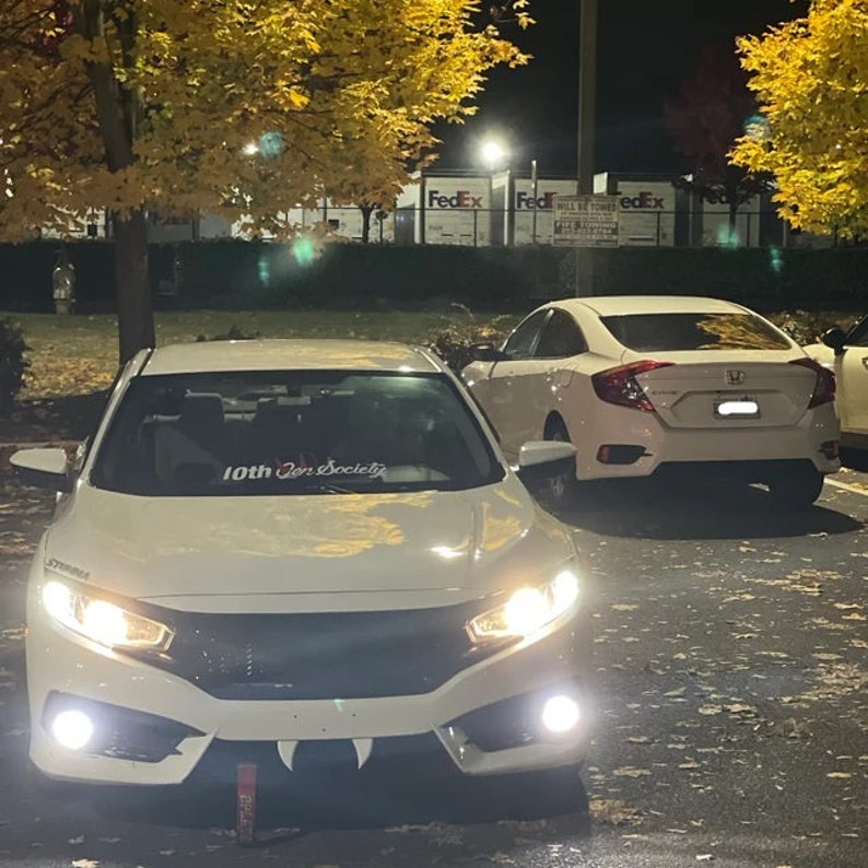 Universal Car Vampire Teeth / Bumper Fangs / Halloween Car - Etsy