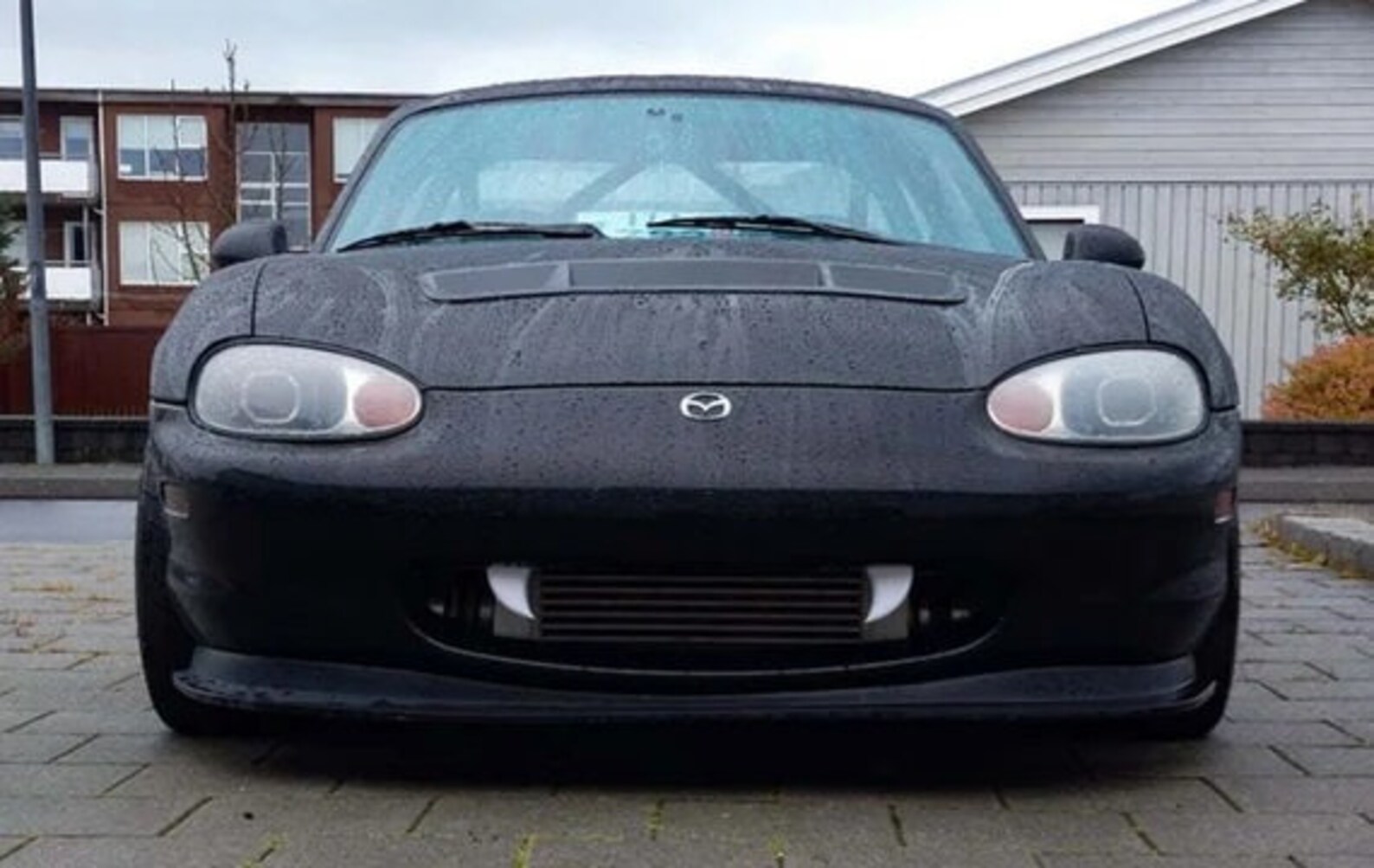 Universal Car Vampire Teeth / Bumper Fangs / Halloween Car - Etsy