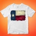 Texas Flag Png Sublimation Design Download, Texas State Png, Texas Png ...