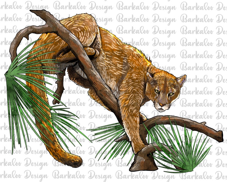 Florida Panther on the Tree Png Sublimation Design Hand Drawn - Etsy