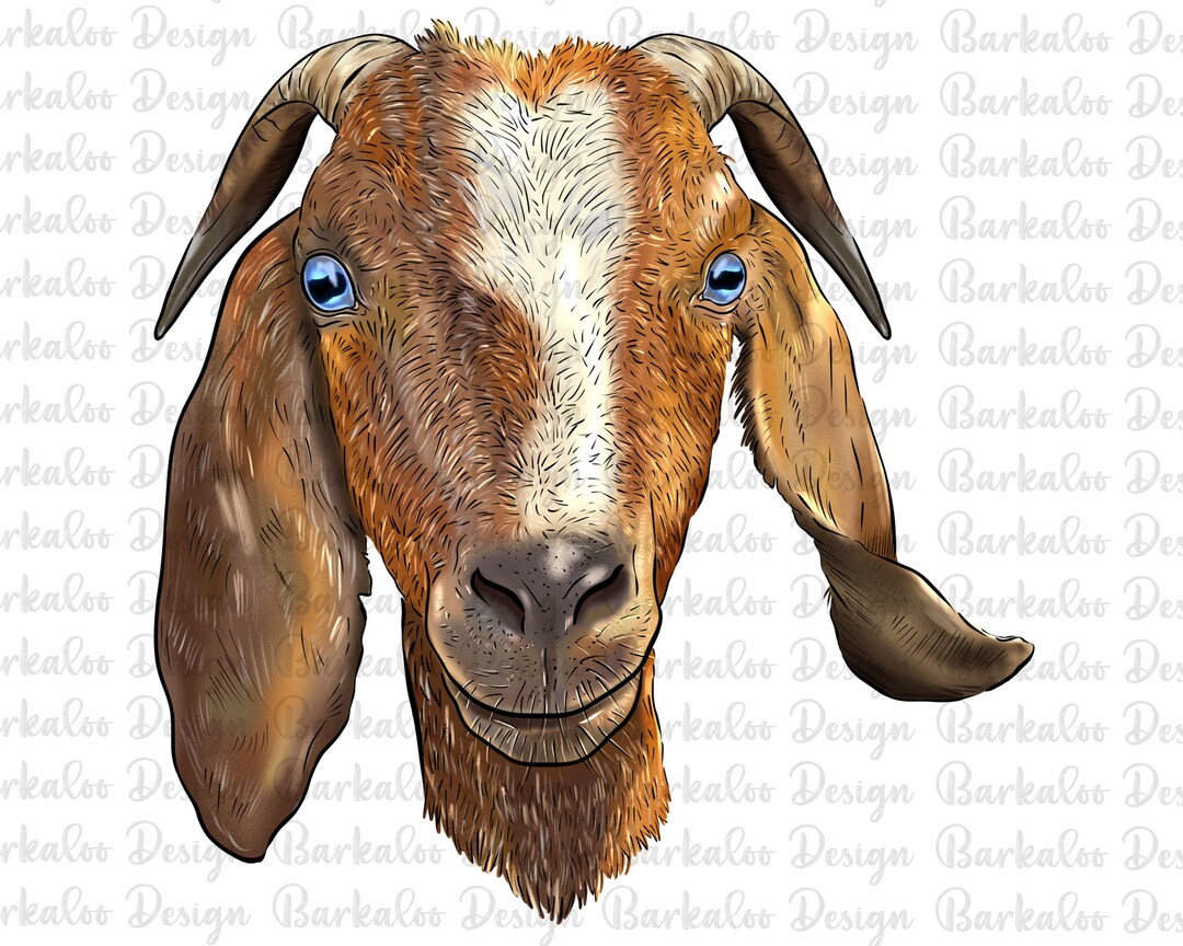 Boer Goat Png Sublimation Design, Hand Drawn Boer Goat Png, Boer Goat ...