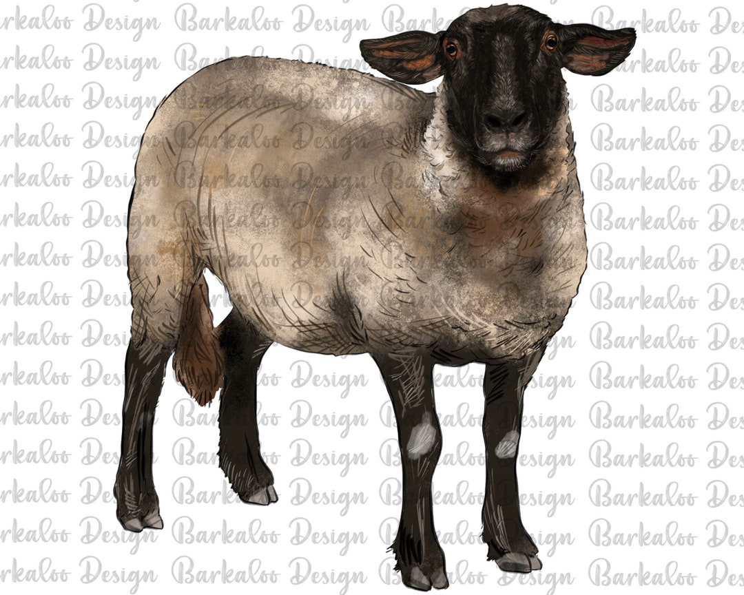 Suffolk Ewe Png Sublimation Design, Suffolk Sheep Png, Suffolk Ewe Png ...