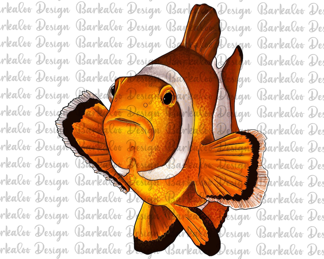 Clown Fish Face Png Sublimation Design, Hand Drawn Clown Fish Png ...