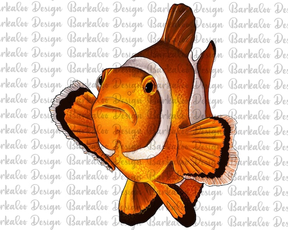 Clown Fish Face Png Sublimation Design Hand Drawn Clown Fish | Etsy